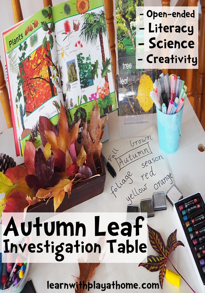 Learn with Play at Home: Autumn Leaf Investigation Table. Open ended ...