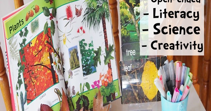 Learn with Play at Home: Autumn Leaf Investigation Table. Open ended ...