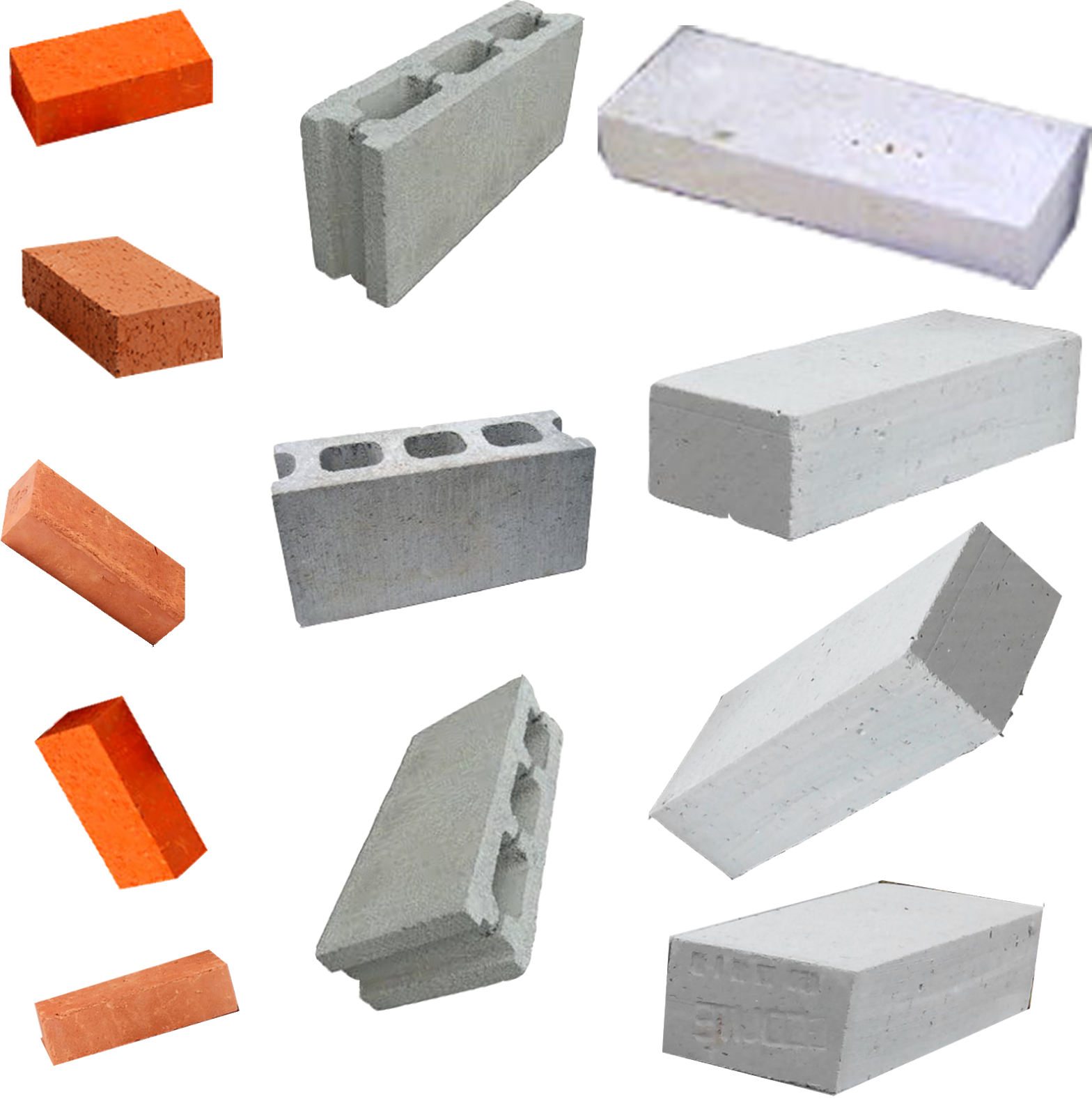 MENGENAL BATA, BATAKO DAN BATA RINGAN