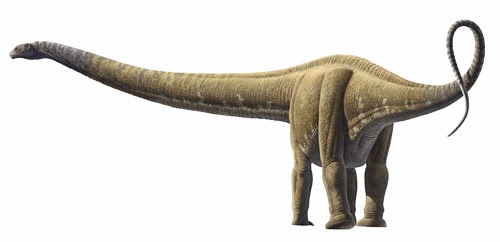 O Livro da Natureza: Diplodoco