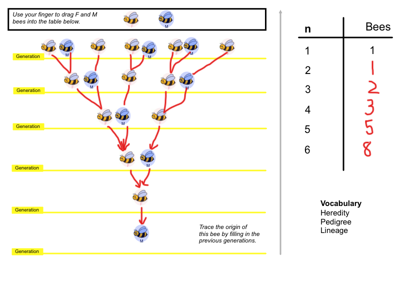 Solve and Simplify: Fibonacci Sequence in Nature (Activity/Lesson)