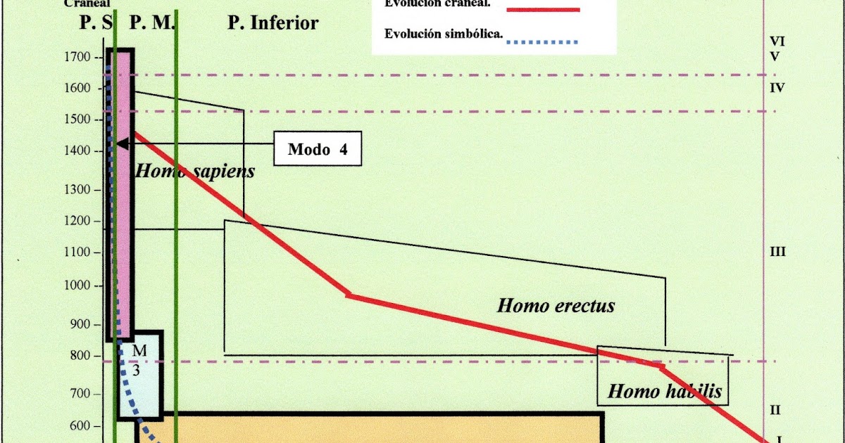 Psicobiología del género Homo: Exaptación, coevolución (morfológica y ...