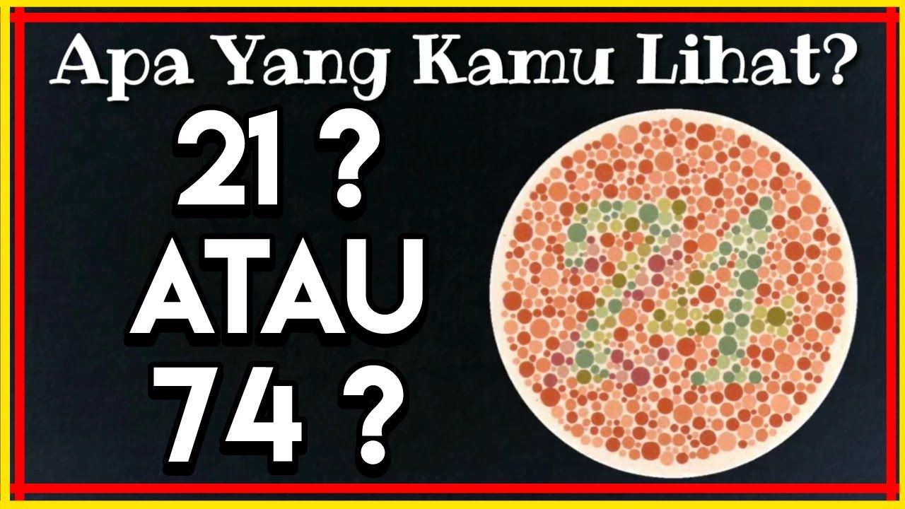 USJ Optometrist Membantu Masalah Rabun Warna Anda