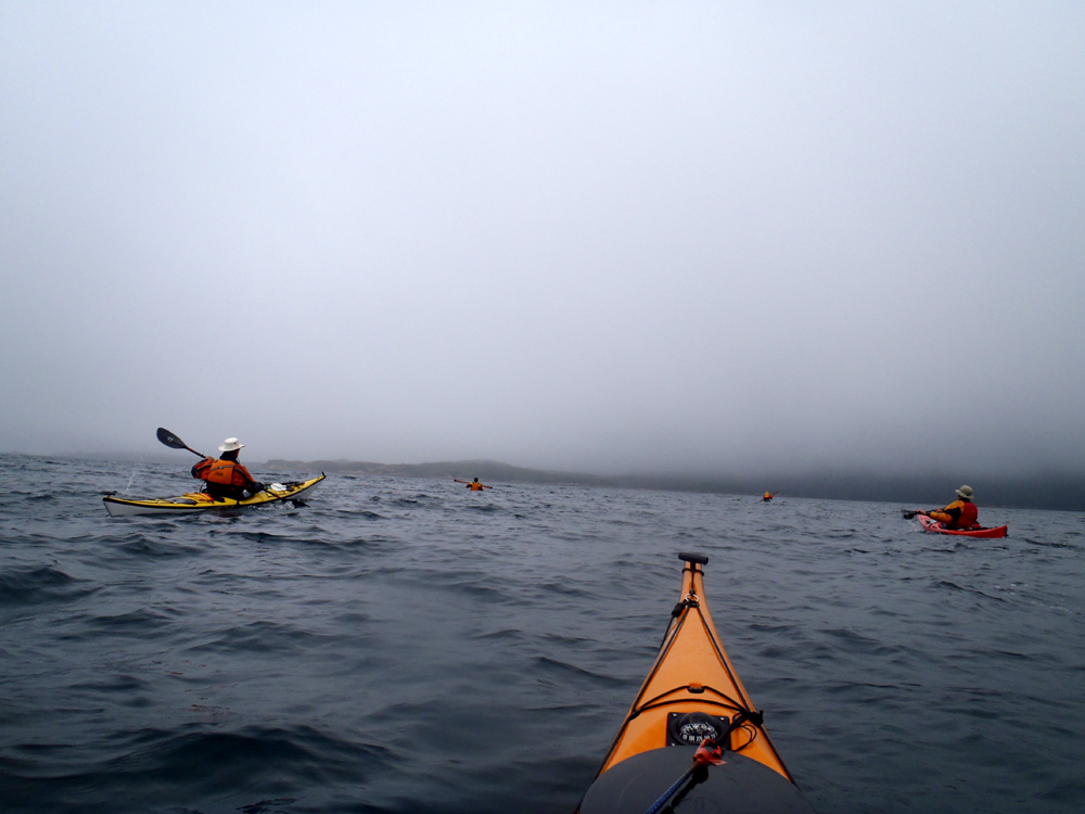 My Newfoundland Kayak Experience: A day in the Ragged Islands