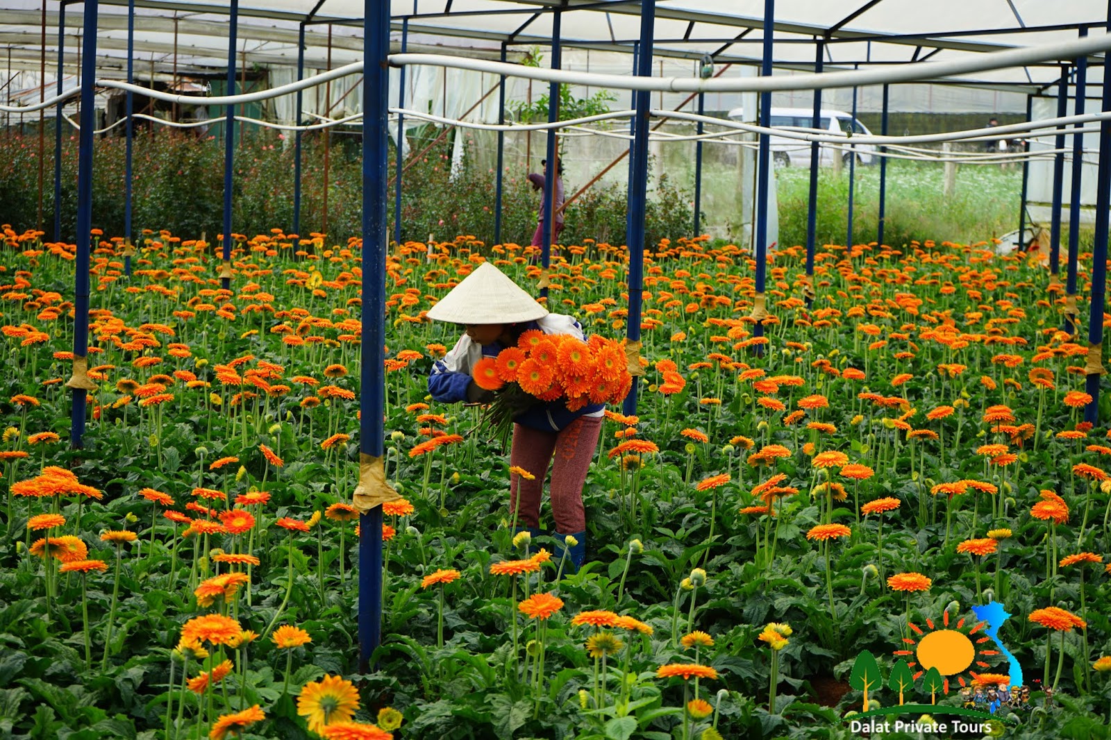 Van Thanh Flower Village in Dalat - DALAT COUNTRYSIDE TOUR
