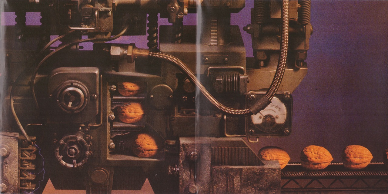 Cries from the Quiet World: Tesla "Bust a Nut"