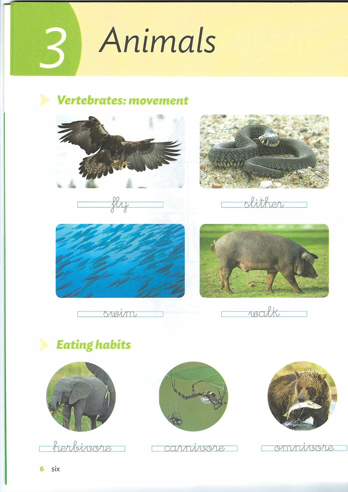 Second grade stuff: UNIT 3 NATURAL:ANIMALS