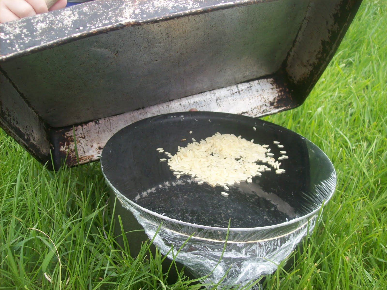 Porter's Primary: June 2011