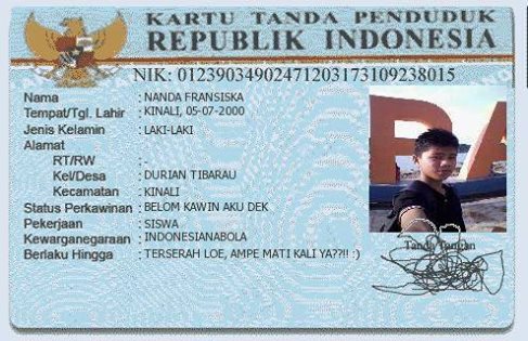 cara membuat KTP palsu dari internet dengan mudah