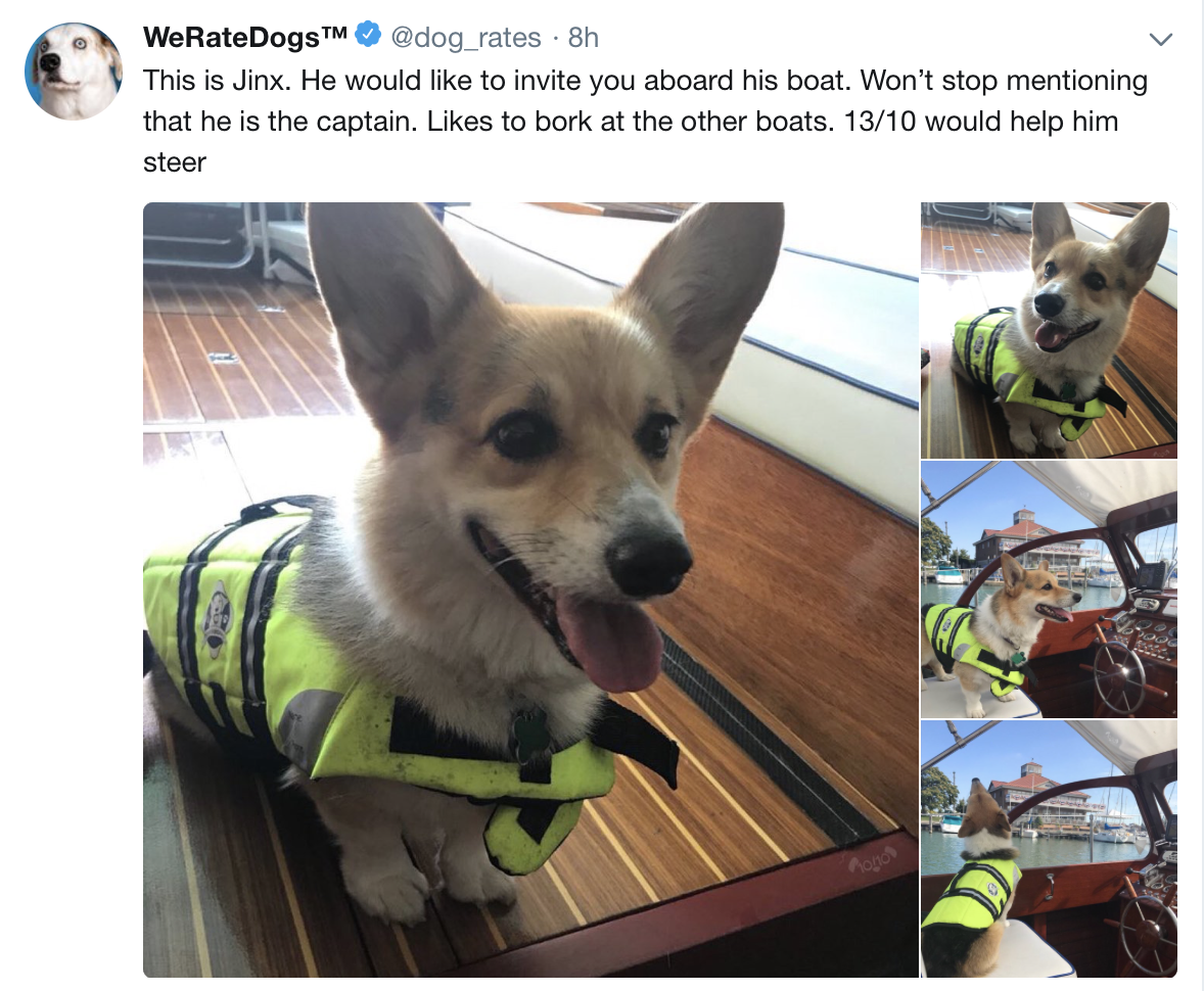 54 Random Memes Photos That Make You So Hilarious | 9GIG