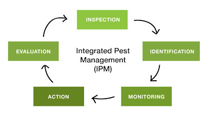 Integrated Pest Management (IPM) - Biology Ease