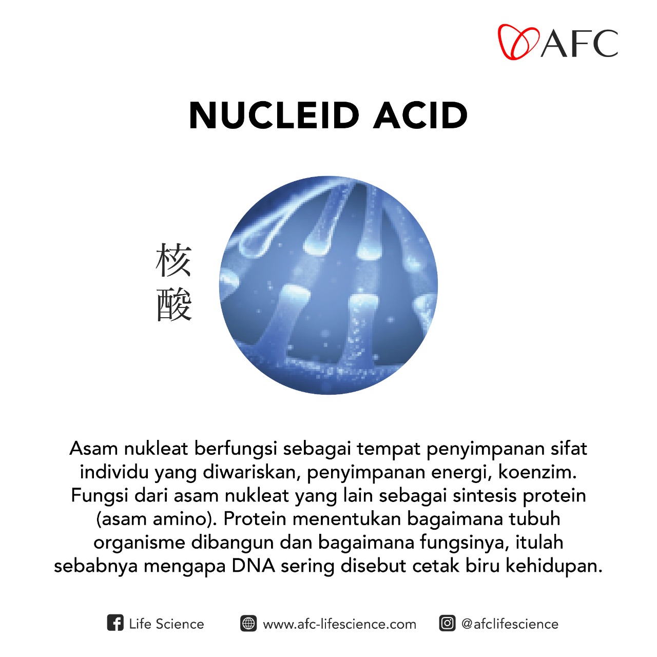 SOP SUBARASHI, UTSUKUSHHII, SOP 100+ dan SENSEI SURU AFC: SOP SUBARASHI