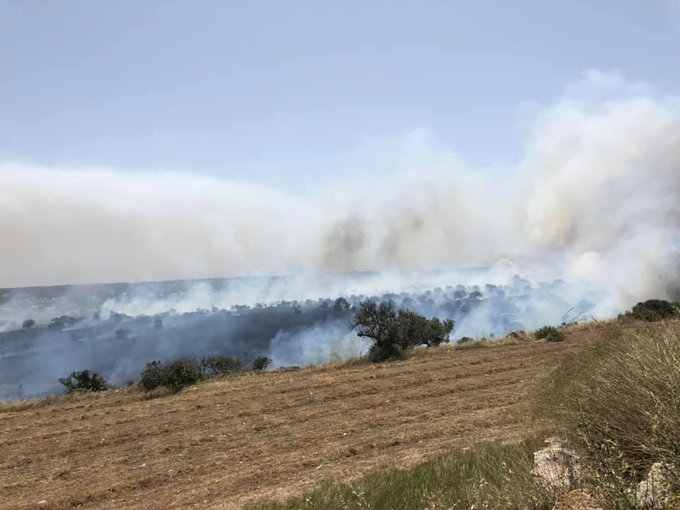 TALA COMMUNITY NEWS: CYPRUS ABLAZE - FIRES ACROSS THE ISLAND, GOVT ...