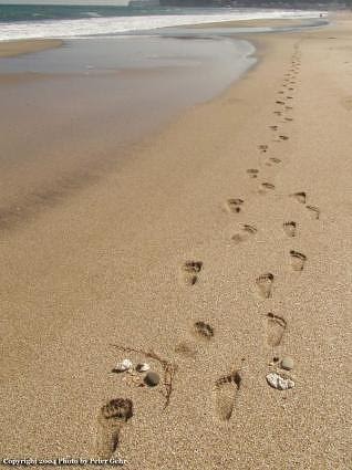 From The Heart of A Disciple: Two Sets of Footprints