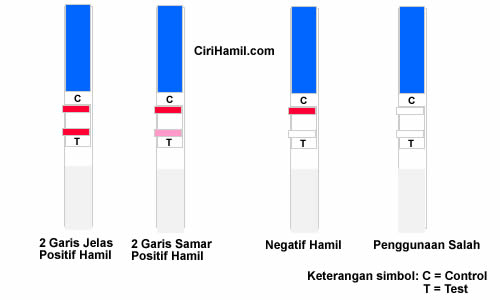 2 Garis - Dunia Berbagi Wahyu