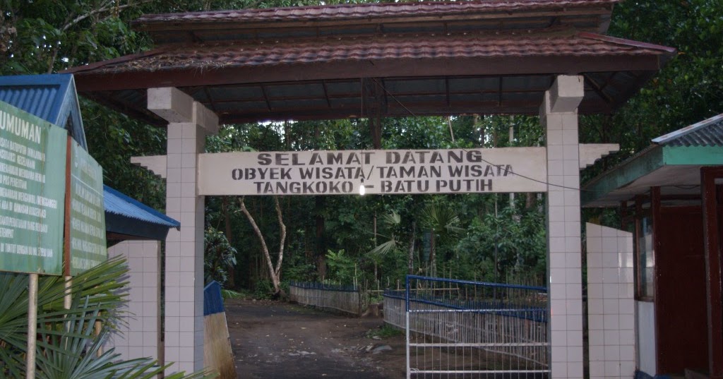 Delightful Departures: Seven Tips to Enjoy Tangkoko Nature Reserve