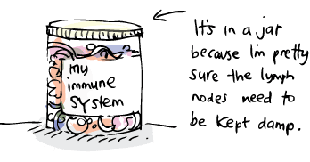 Shelley cartoons: Chapter 1. Meet my immune system