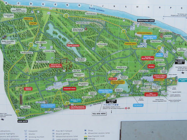 Let's Go! The Great Broad Walk at Kew Gardens