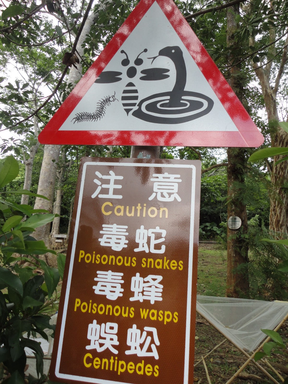 Beyond Rice - The Adventures of Rock n' Ray: Formosa - Beautiful Island