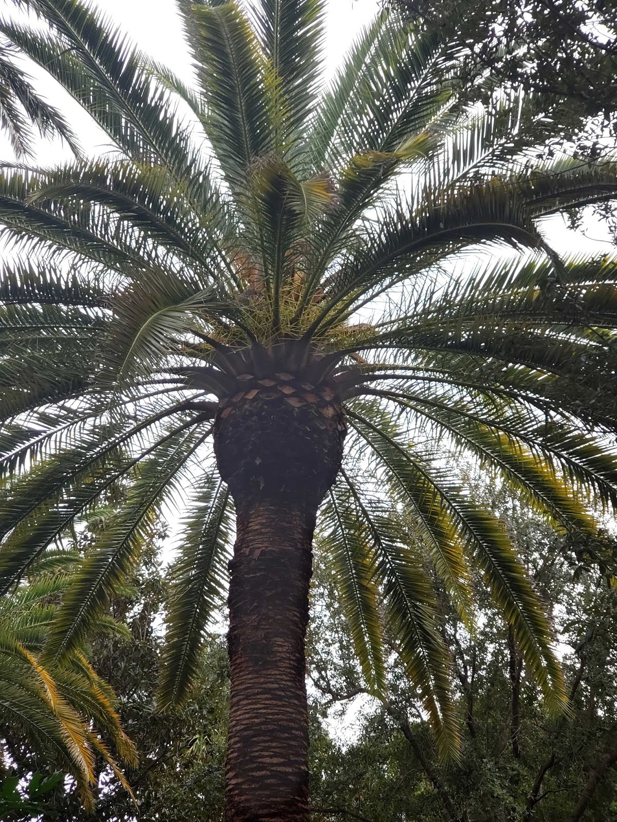 Welcome! Let the Journey Begin.: Worlds Largest Ceiling Clock ...