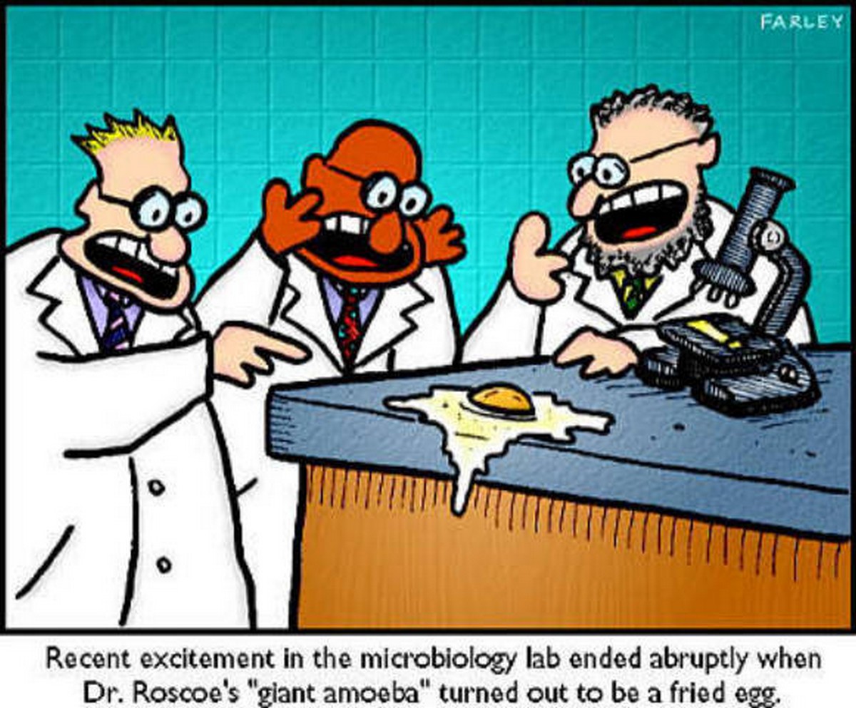 Chuck's Fun Page 2: Funny stuff, mostly cartoons - 25 images