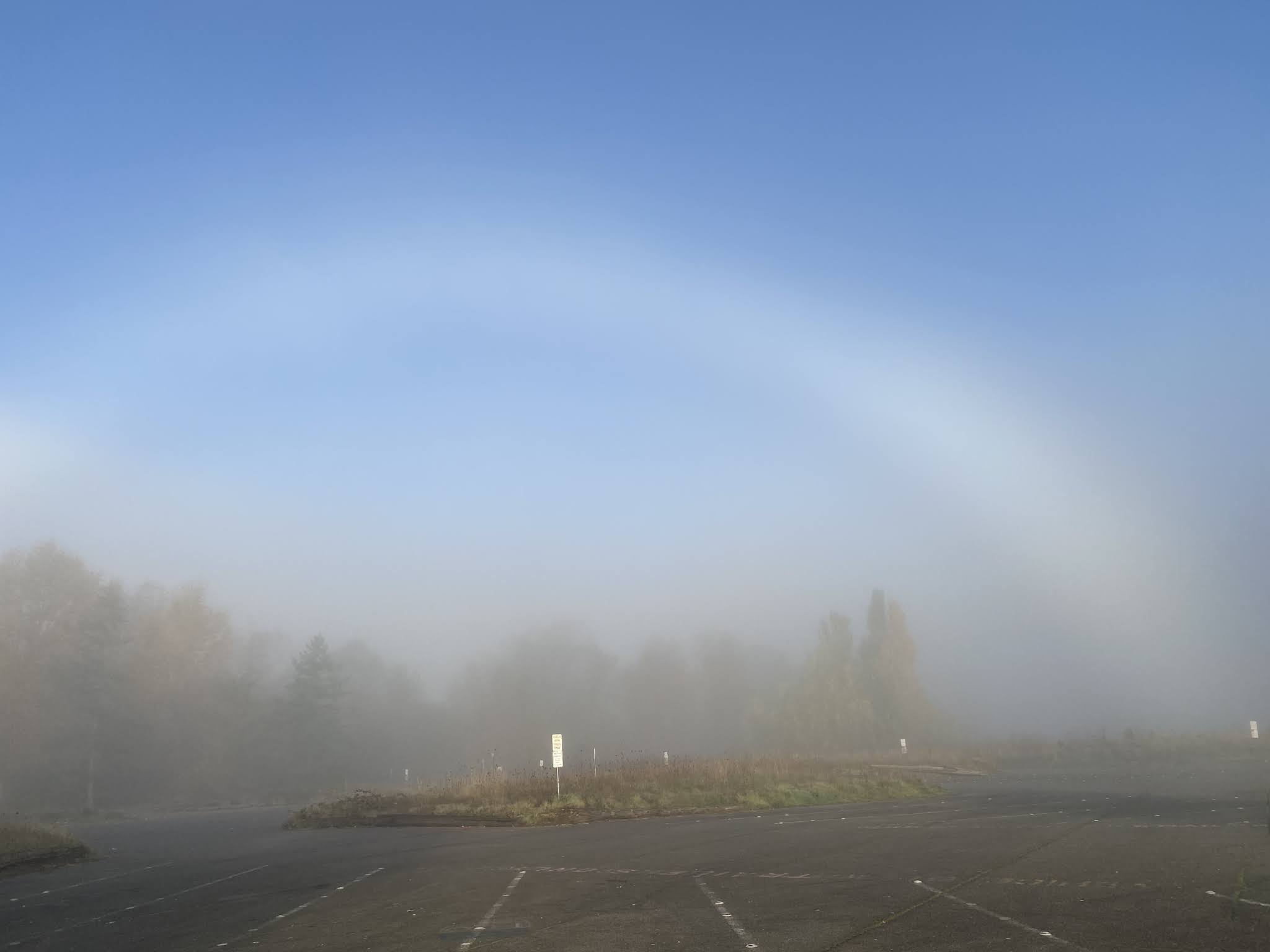 Cliff Mass Weather Blog: A Rainbow Without Colors: The Rare Fog Bow is ...