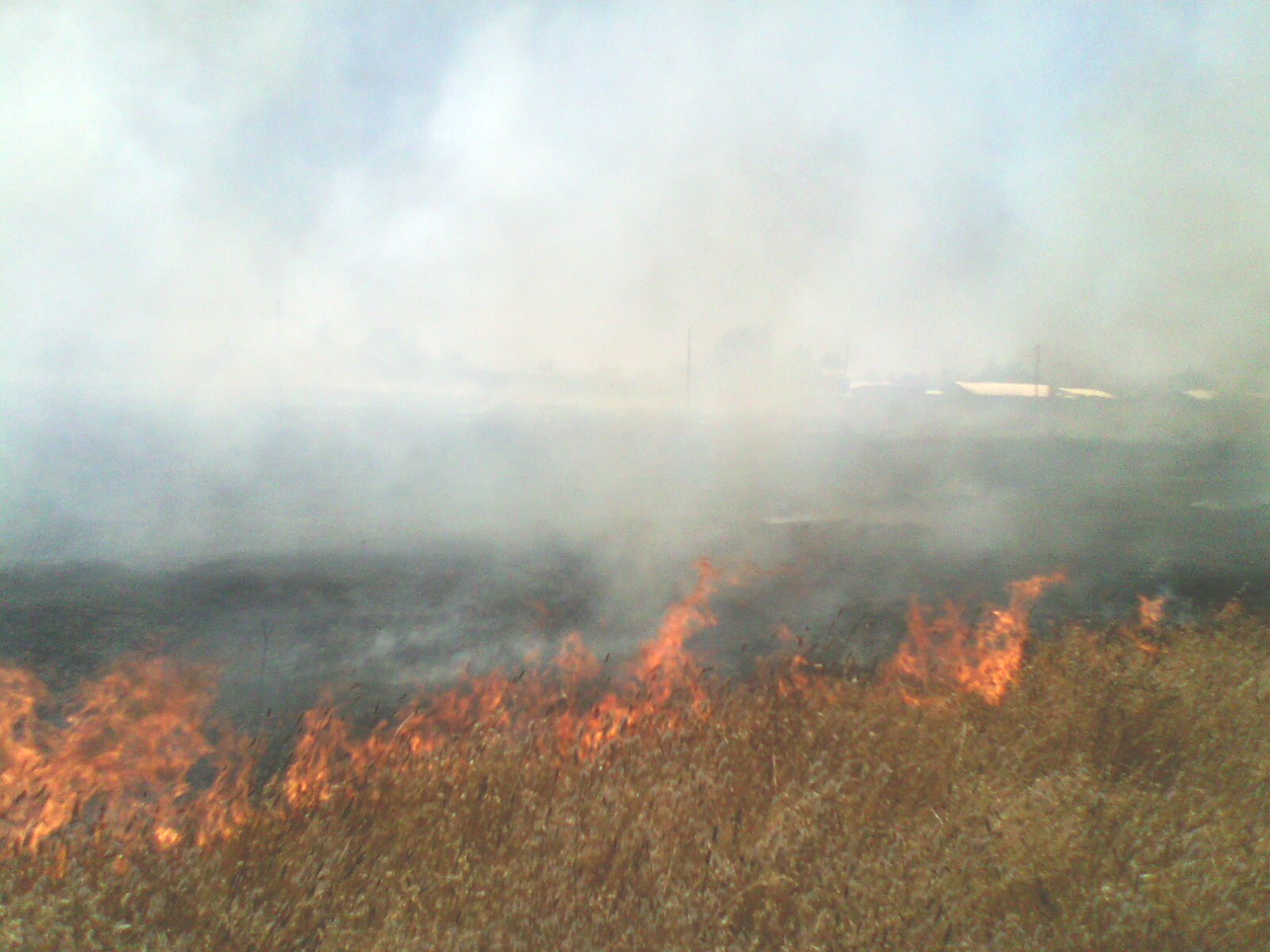 INCENDIO DE PASTIZAL EN VILLA EL PROGRESO PUSO EN ALERTA A BOMBEROS DE ... INCENDIO DE PASTIZAL EN VILLA EL PROGRESO PUSO EN ALERTA A BOMBEROS DE ...
