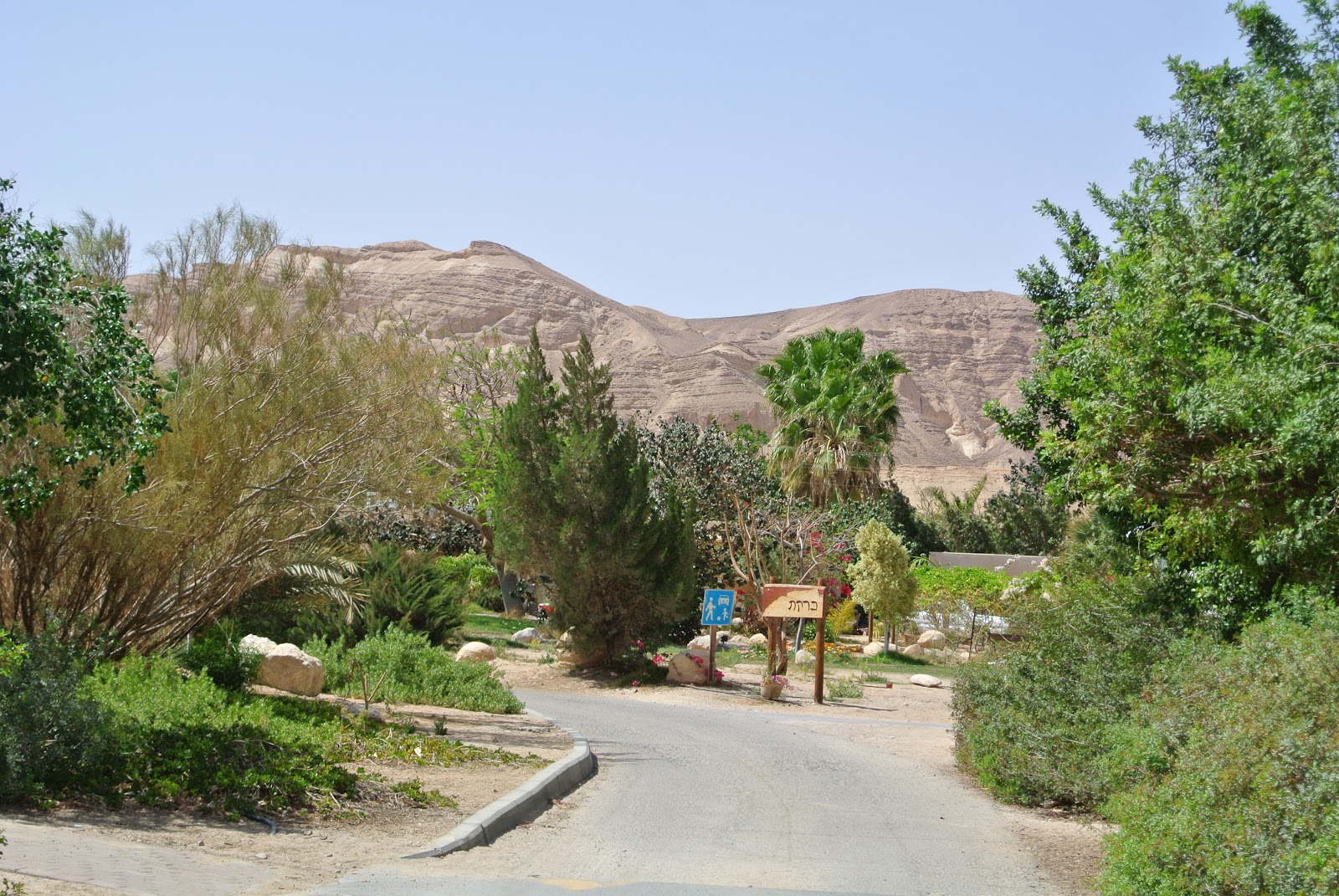Study Abroad in Jerusalem: Kibbutz Yahel