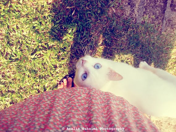 Busking Barefoot: A Break of Cat Naps