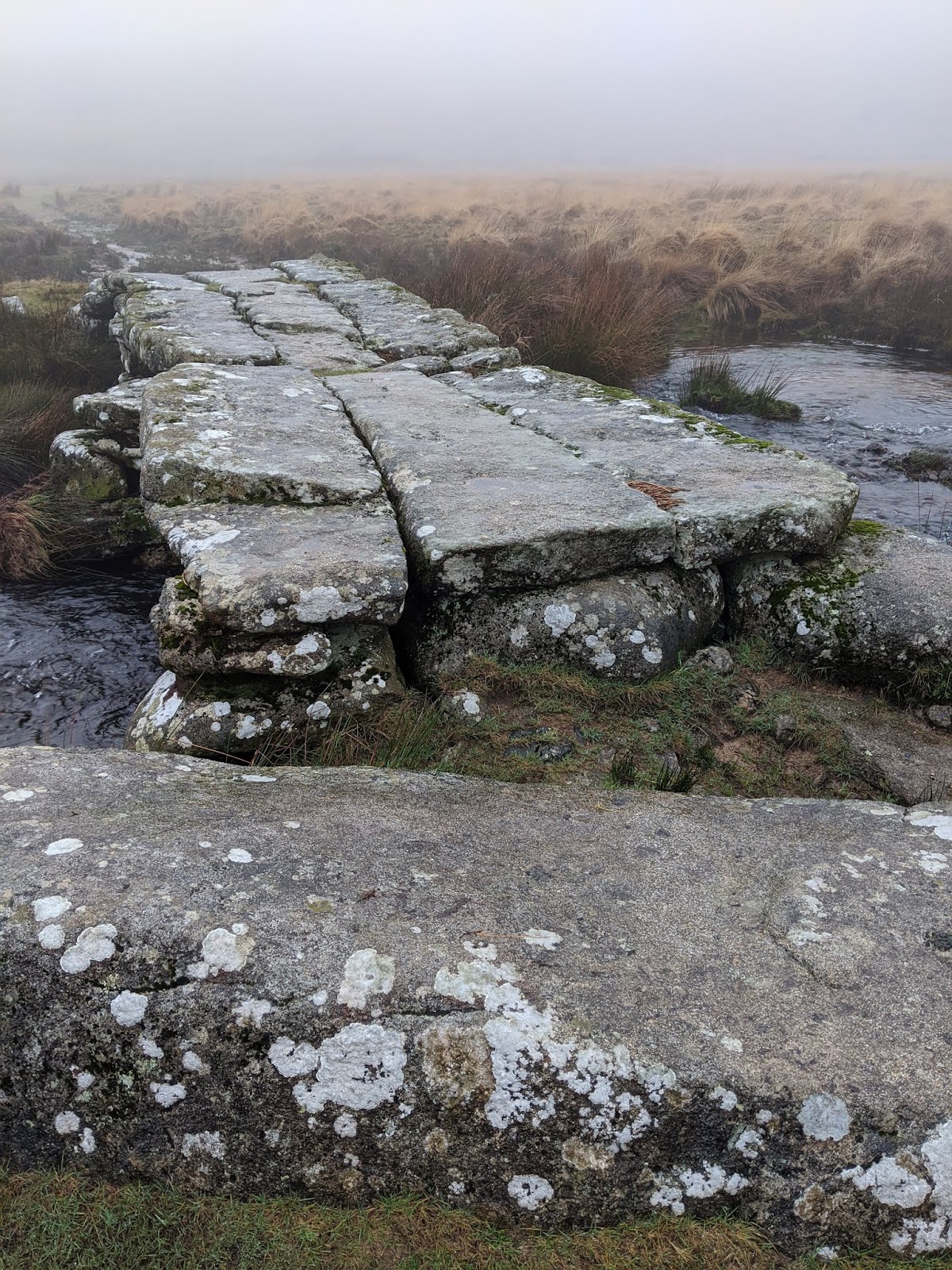 Max Piper - Tor Bagger: Dartmoor: Back to Fernworthy Forest (11.77 miles)