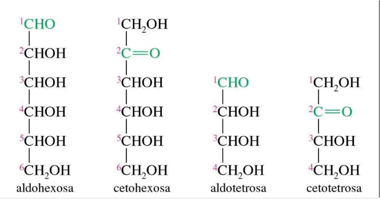 Carbohidratos!!: ISOMERIA OPTICA