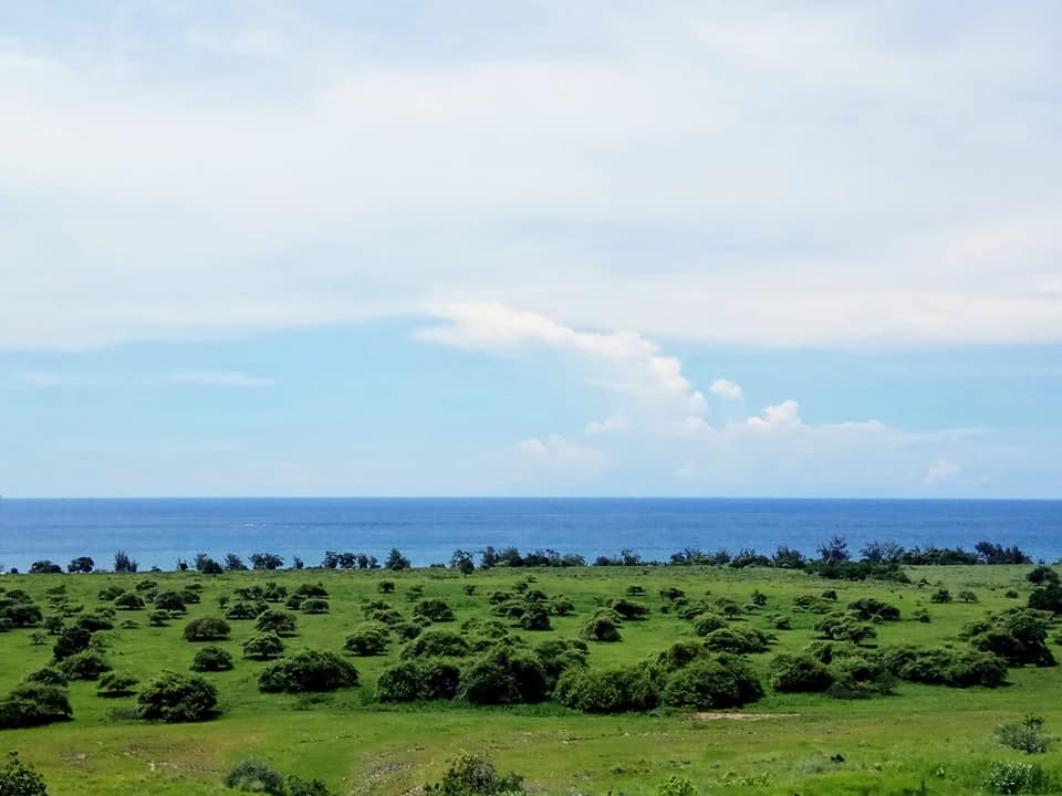 SAVANA PURUKAMBERA, SUMBA TIMUR-NTT | NTT NATURAL & CULTURE TOURISM ...