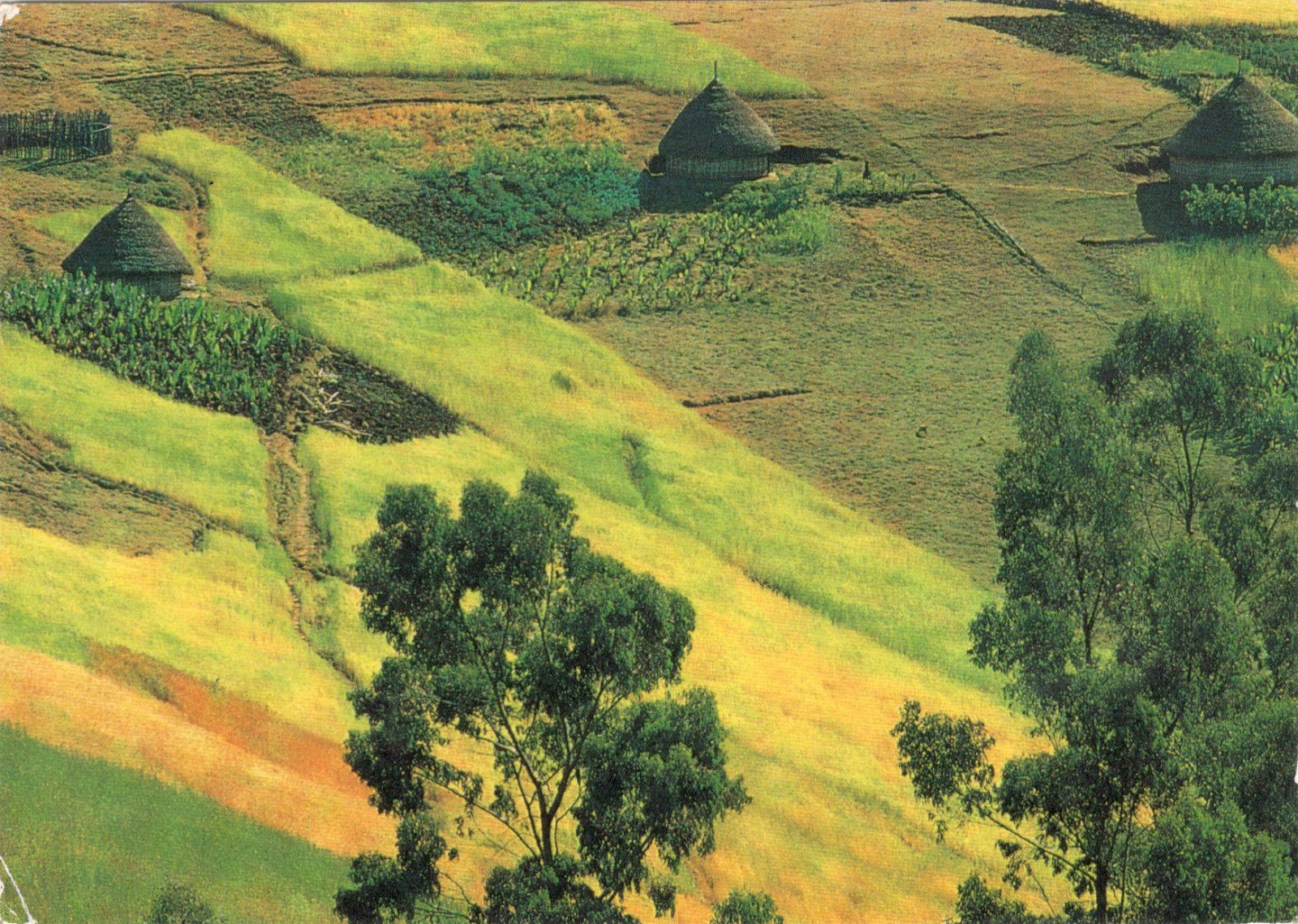 WORLD, COME TO MY HOME!: 3302 ETHIOPIA (Southern Nations, Nationalities ...