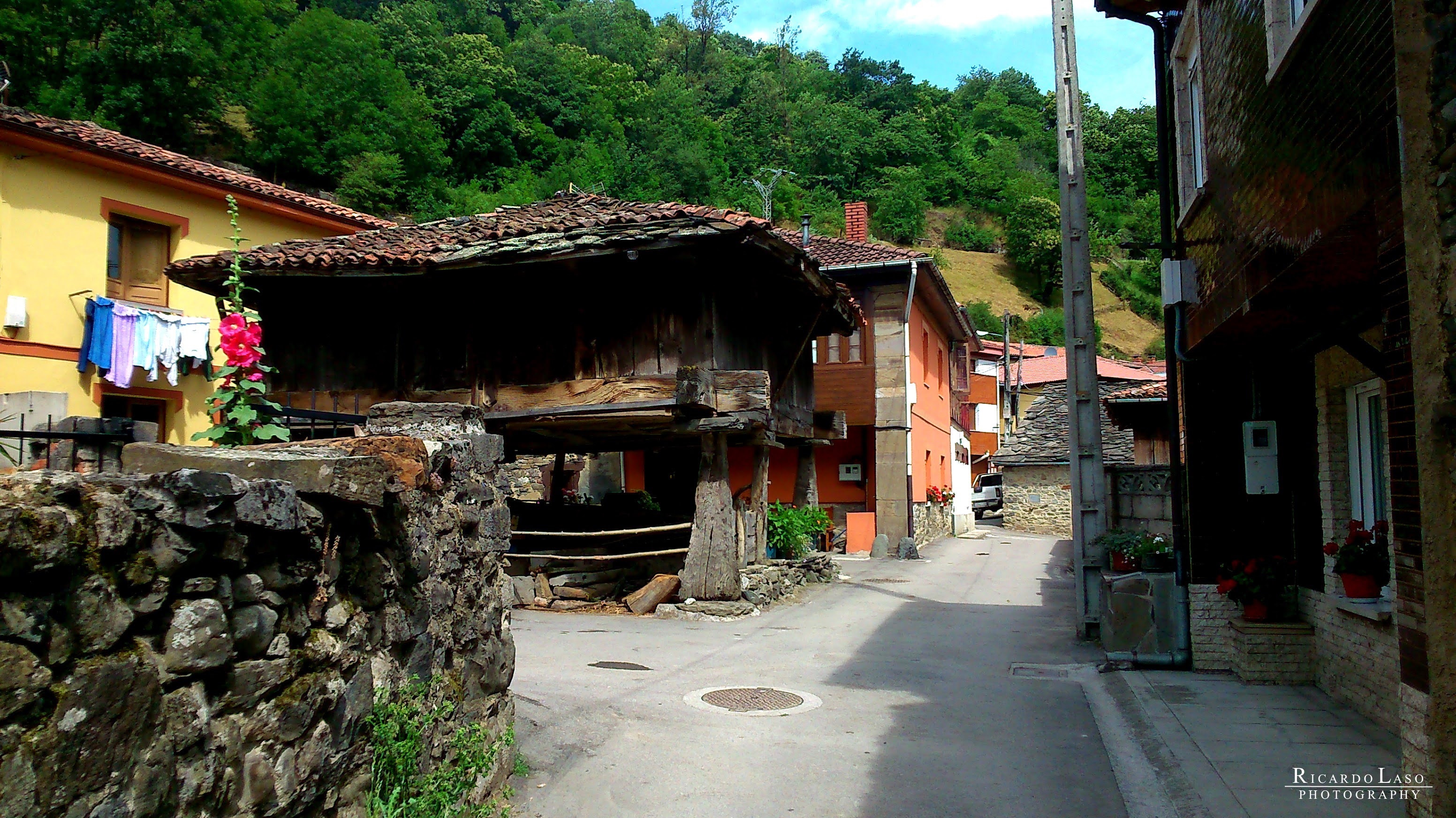 ASTURIAS: ALLER / CASOMERA