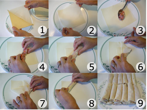 Masala-n-Magic: Spring Roll Folding Techniques from recipes allonline