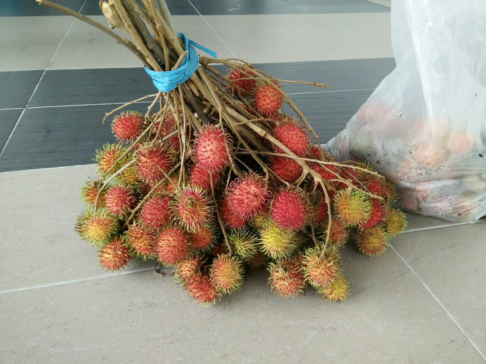 Musim buah bulan puasa | irrayyan.com