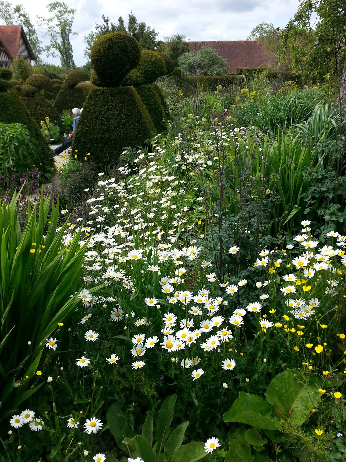 Rambling towards an exotic garden paradise: Great Dixter in June