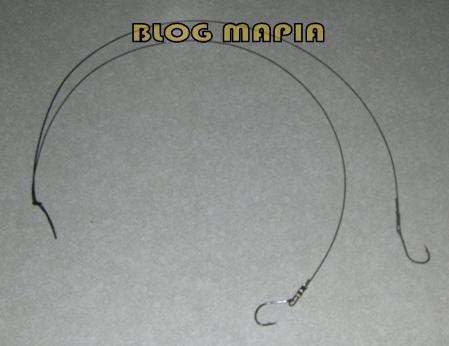 Malaysian Mafia @ Giant Snakehead: Jenis Perambut Toman & Cara ...