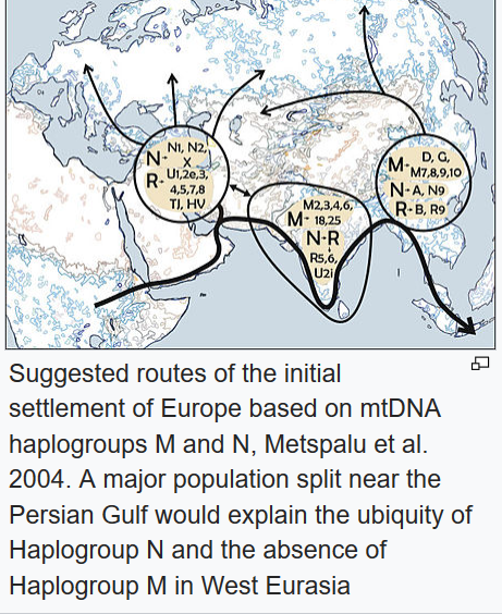 SexualReligion: (137) nuDNA Inbreeding instinct with mtDNA L3N