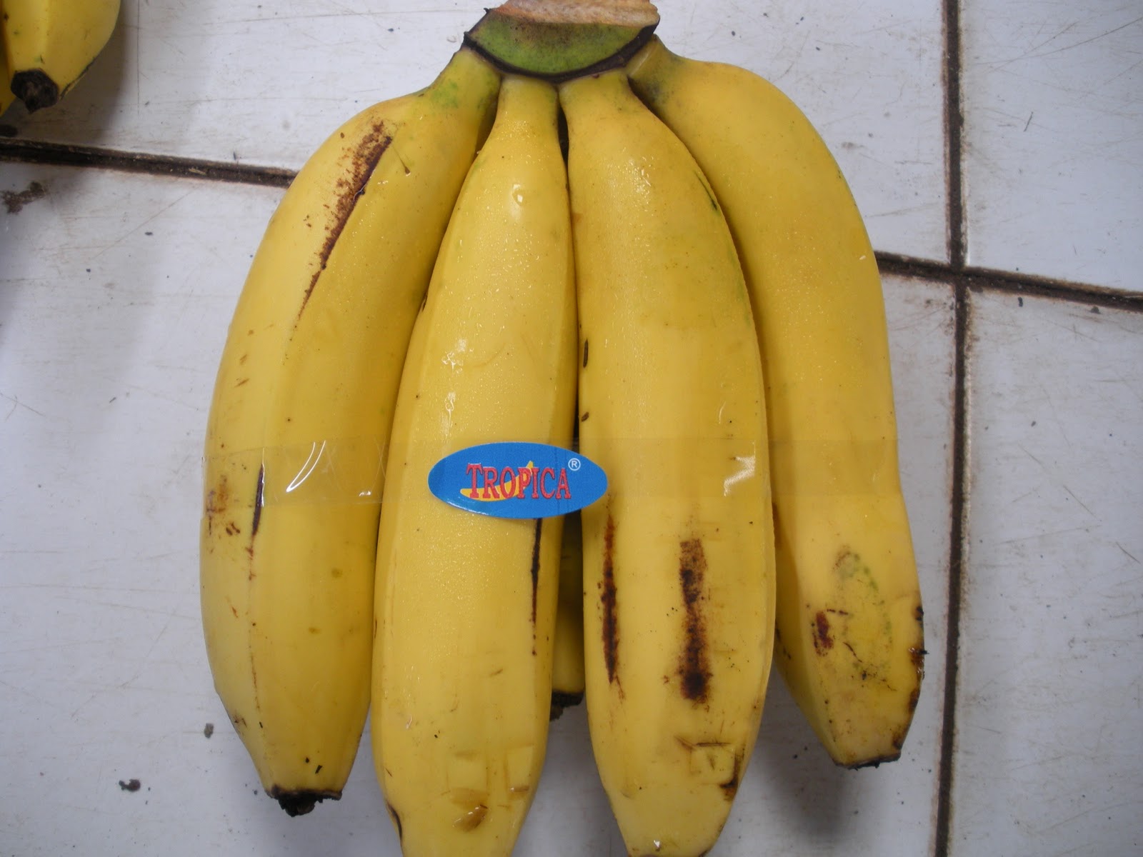Pisang Ambon Tropika