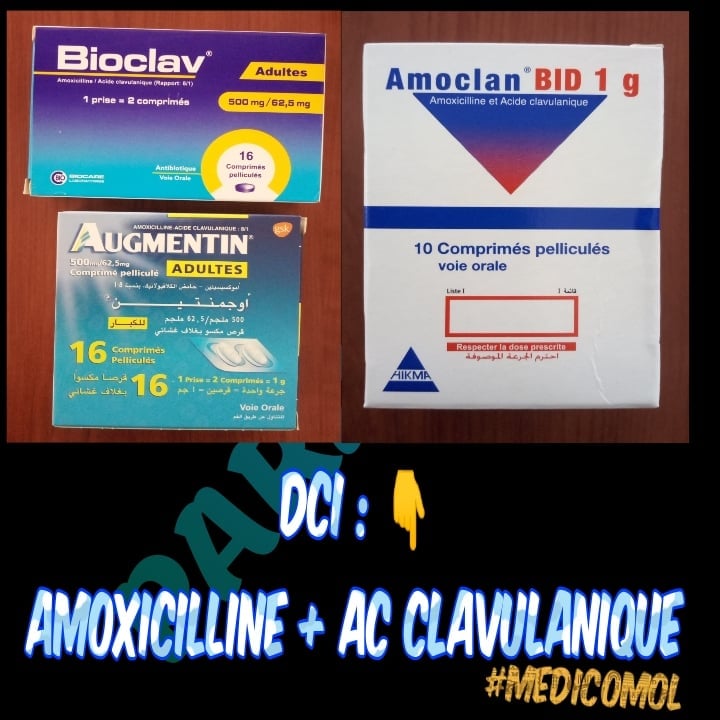 LES ANTIBIOTIQUES _ PENICILINE (suite) المضادات الحيوية - Para Mol