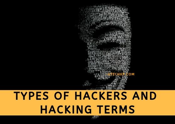 Types of hackers and hacking terms explained.
