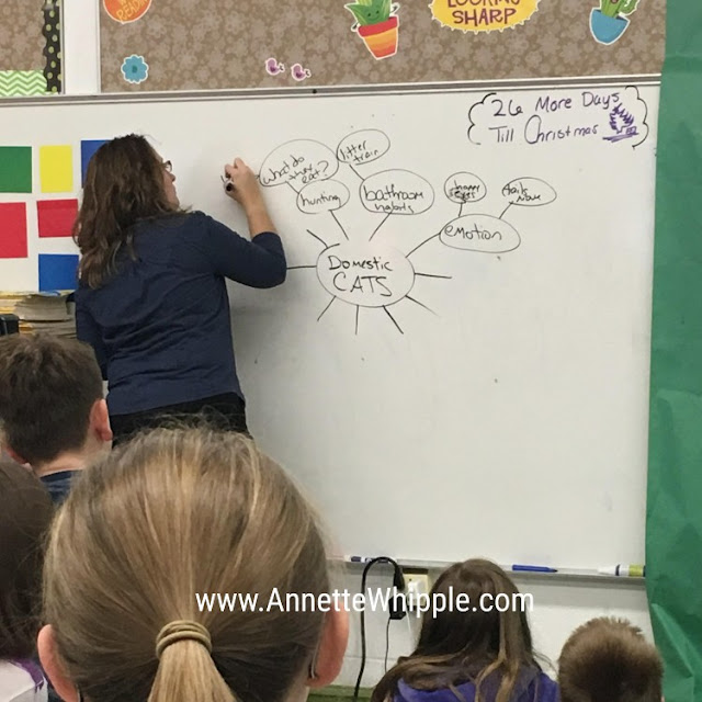 How to Brainstorm a Nonfiction Writing Project - Annette Whipple ...