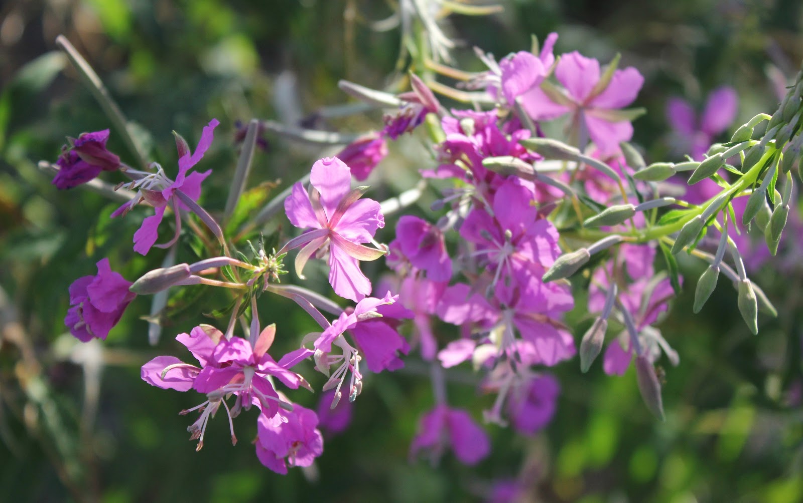 Travel & Adventures: Moscow, Russia, four seasons. The Nature of Moscow ...