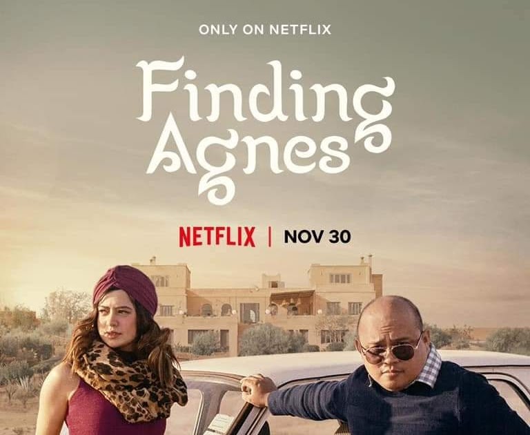 Fred Said: MOVIES: Netflix: Review of FINDING AGNES: Meeting Mother More