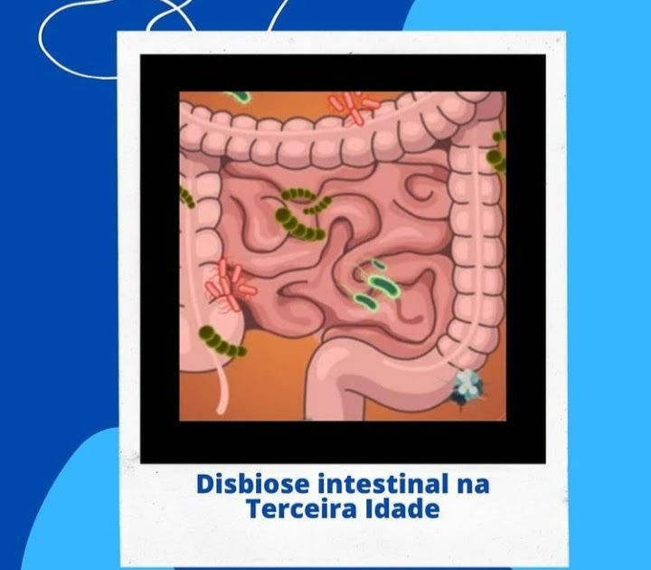 Disbiose intestinal na Terceira Idade