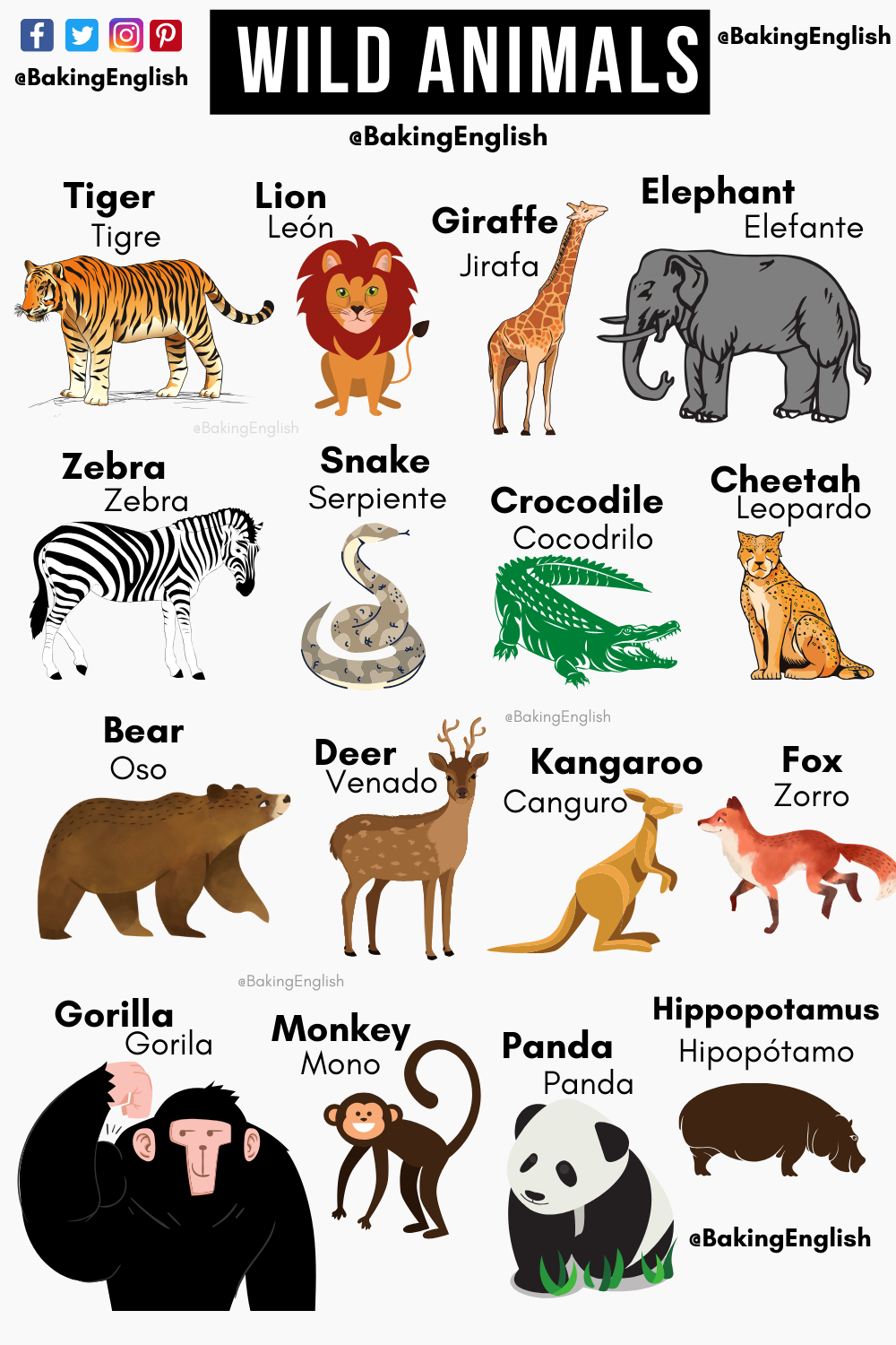 LEARNING ENGLISH -1º: VOCABULARY