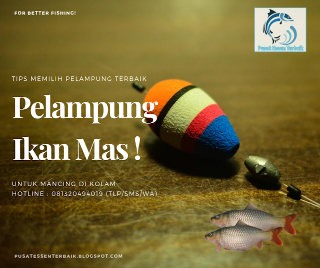 Memilih Pelampung Ikan Mas Terbaik Untuk Mancing Di Kolam ~ Pusat Essen ...