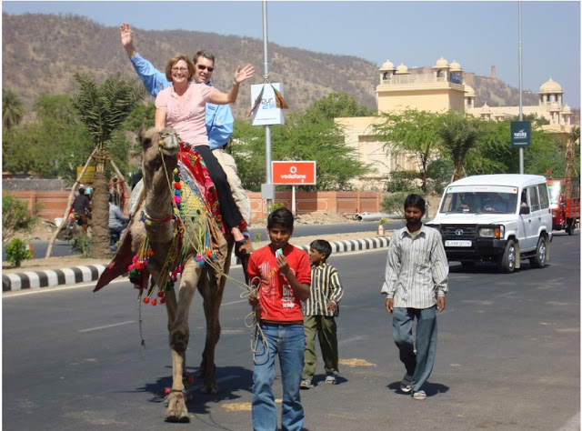 India Travel Information: Camel Ride in Jaipur