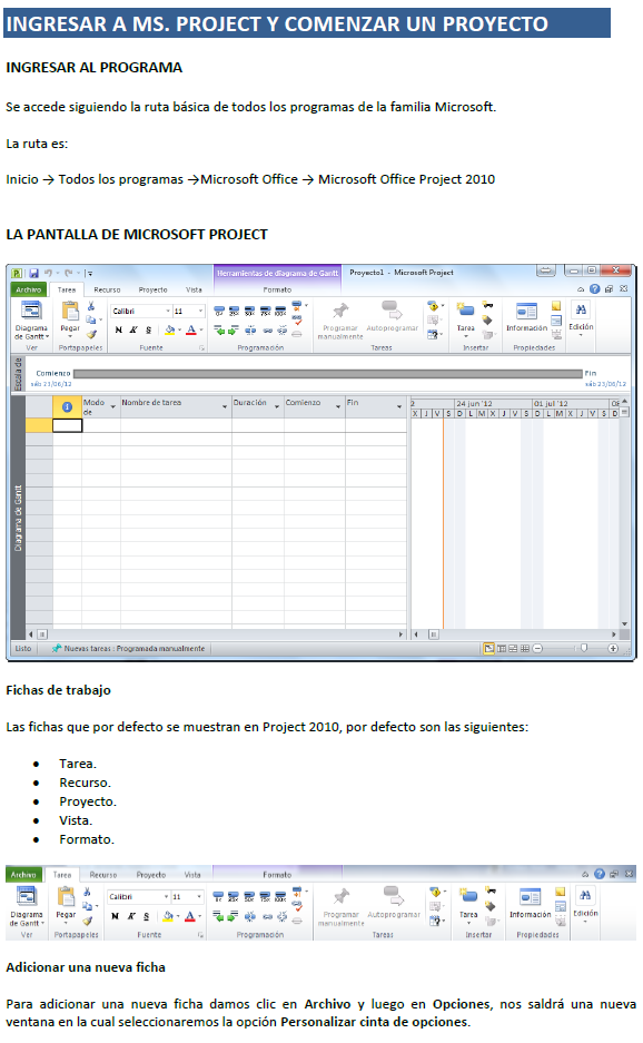 MS PROJECT: Comenzar un proyecto en Ms Project